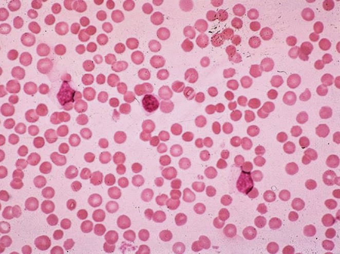 Equipo 9 ***********: mayo 2015