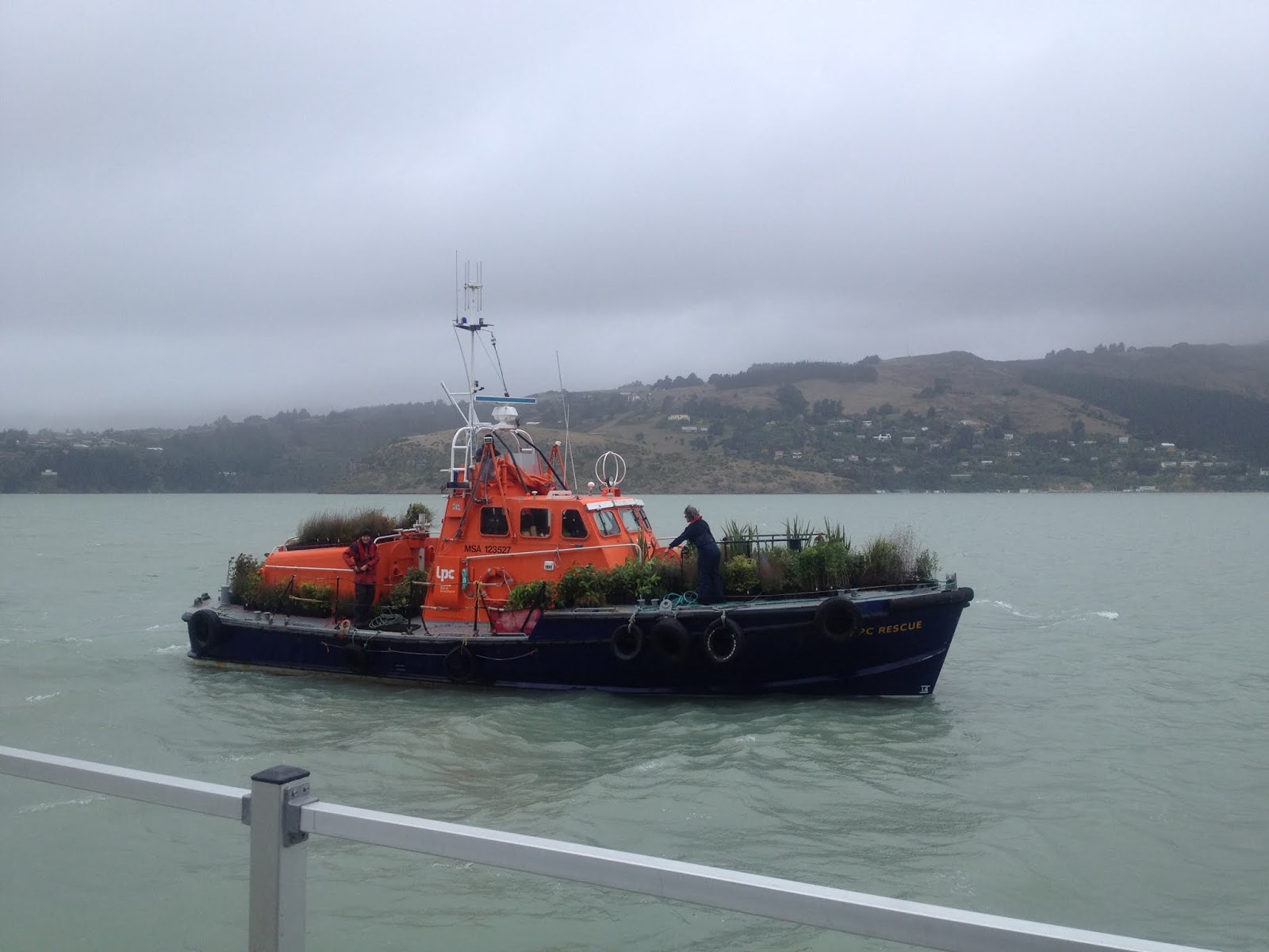 Ōtamahua/Quail Island #6: Sea cadets, farming, ecological restoration ...