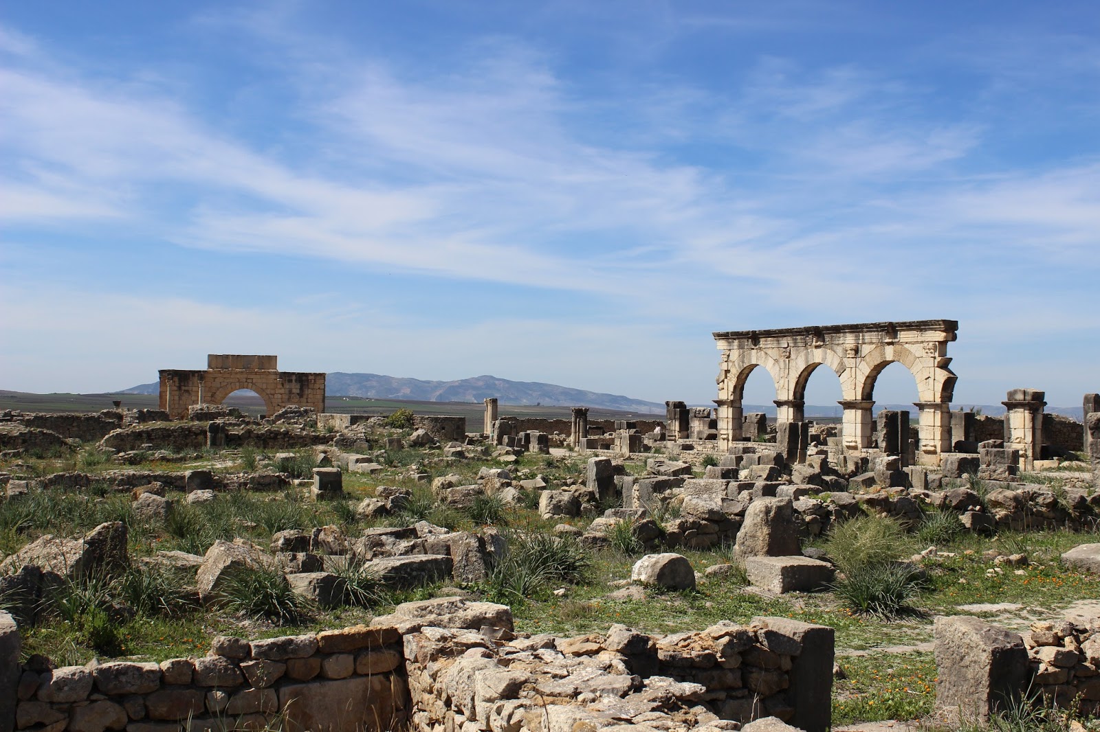 Souvenir Chronicles: VOLUBILIS, MOROCCO