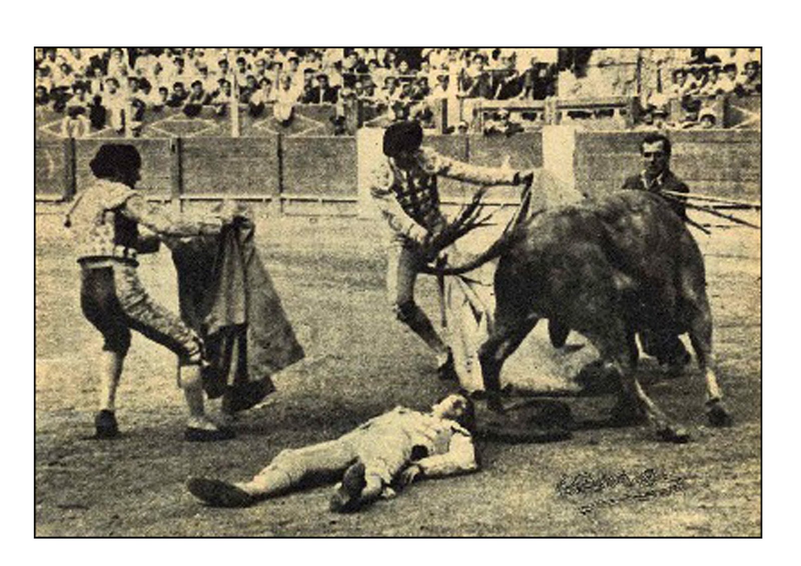 La Fiesta prohibida, por Manuel Hernández.: MANOLETE. TEMPORADAS Y ...