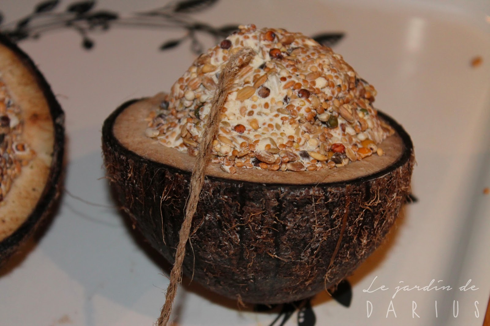 Le Jardin de Darius: Coco d'oiseaux