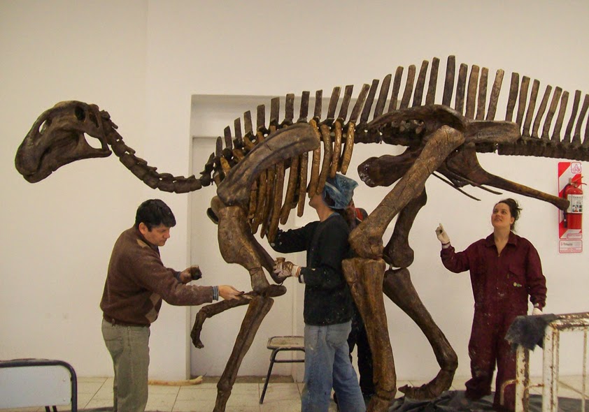 GONDWANA EXOTICA: Dinosaurios en Rio negro, 1º encuentro de ...