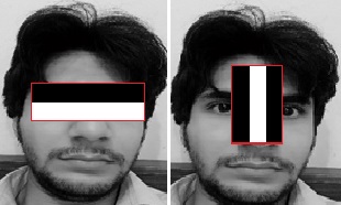 HowtoPedic: Viola-Jones Algorithm | Computer Vision