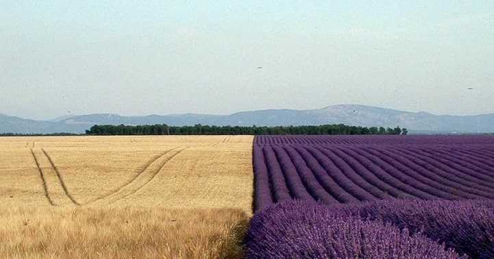 See Now: 20 Of The Most Mesmerizing Pictures In The World ...