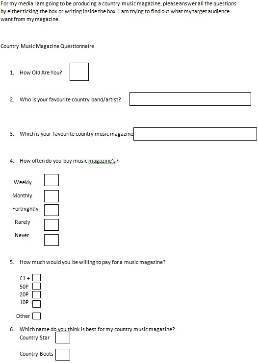 Becka's AS Music Magazine Blog: Questionnaire