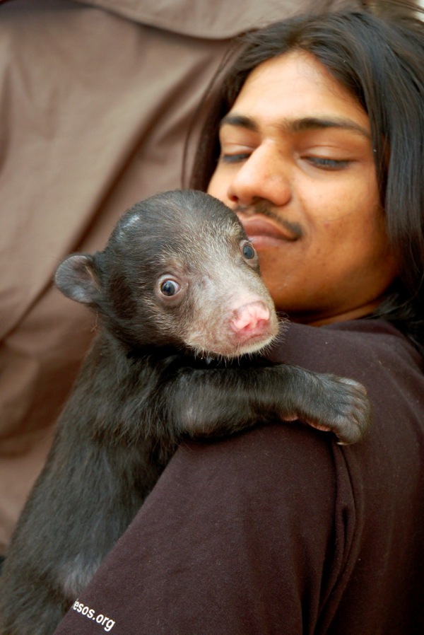 Bear diaries: A Day in the Life of a Bear Keeper