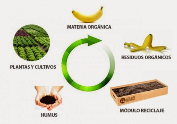 Ciencias Agronomicas y Forestal: Fuentes de Materia Organica