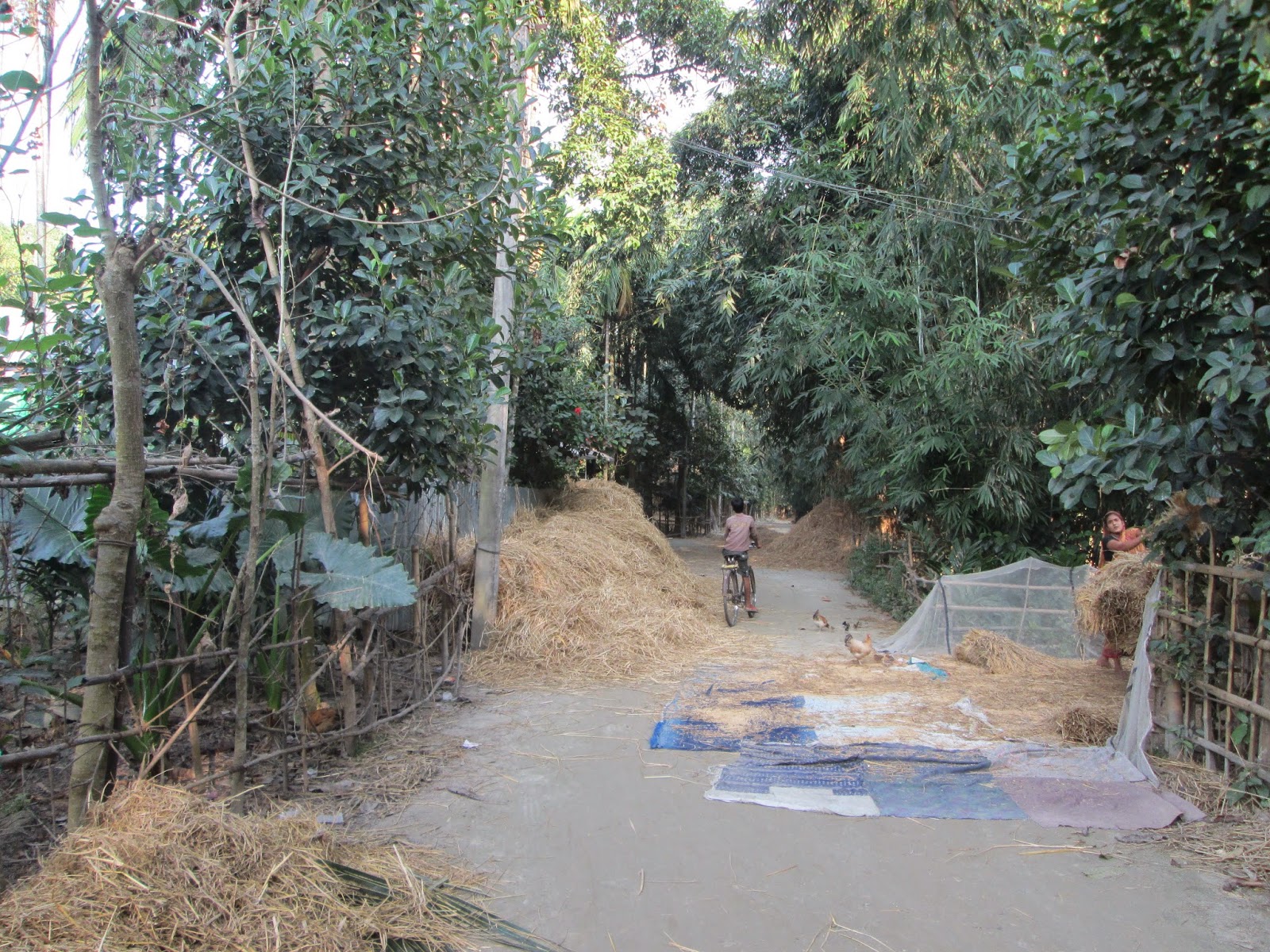 Marketing in India: Bamboo Cluster Village - Assam