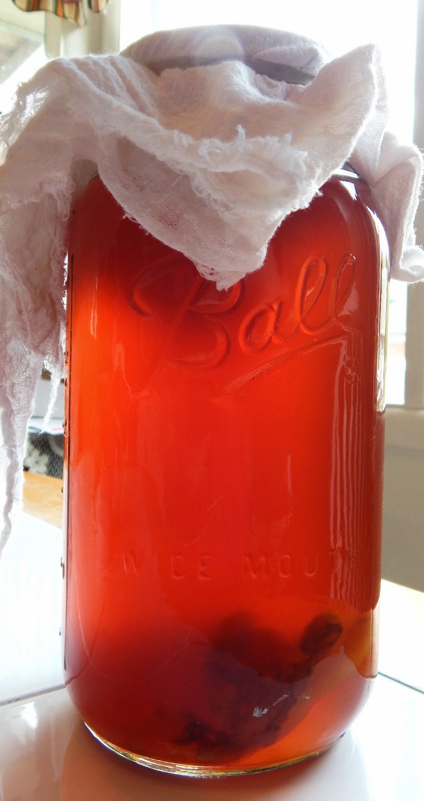 What is Kombucha? And Why You Might Want to Make It - Proverbs 31 Homestead