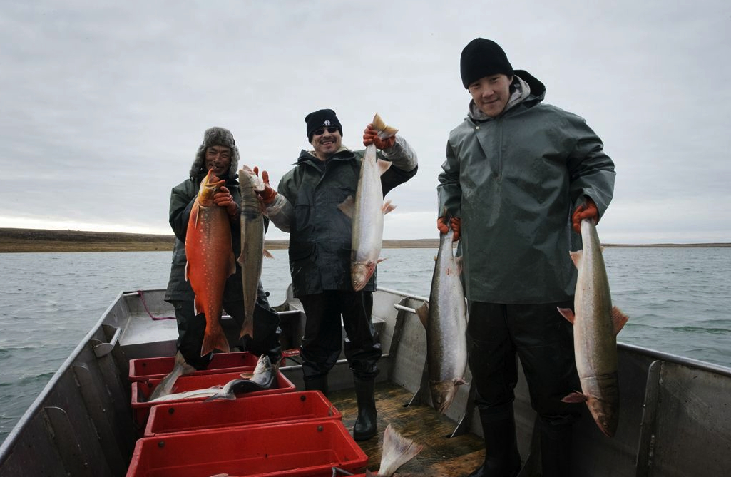 Arctic Char | Nunavut wild Arctic Char