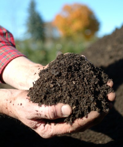 Ecopaesaggio® Natural Healing Land: VEGGY Garden