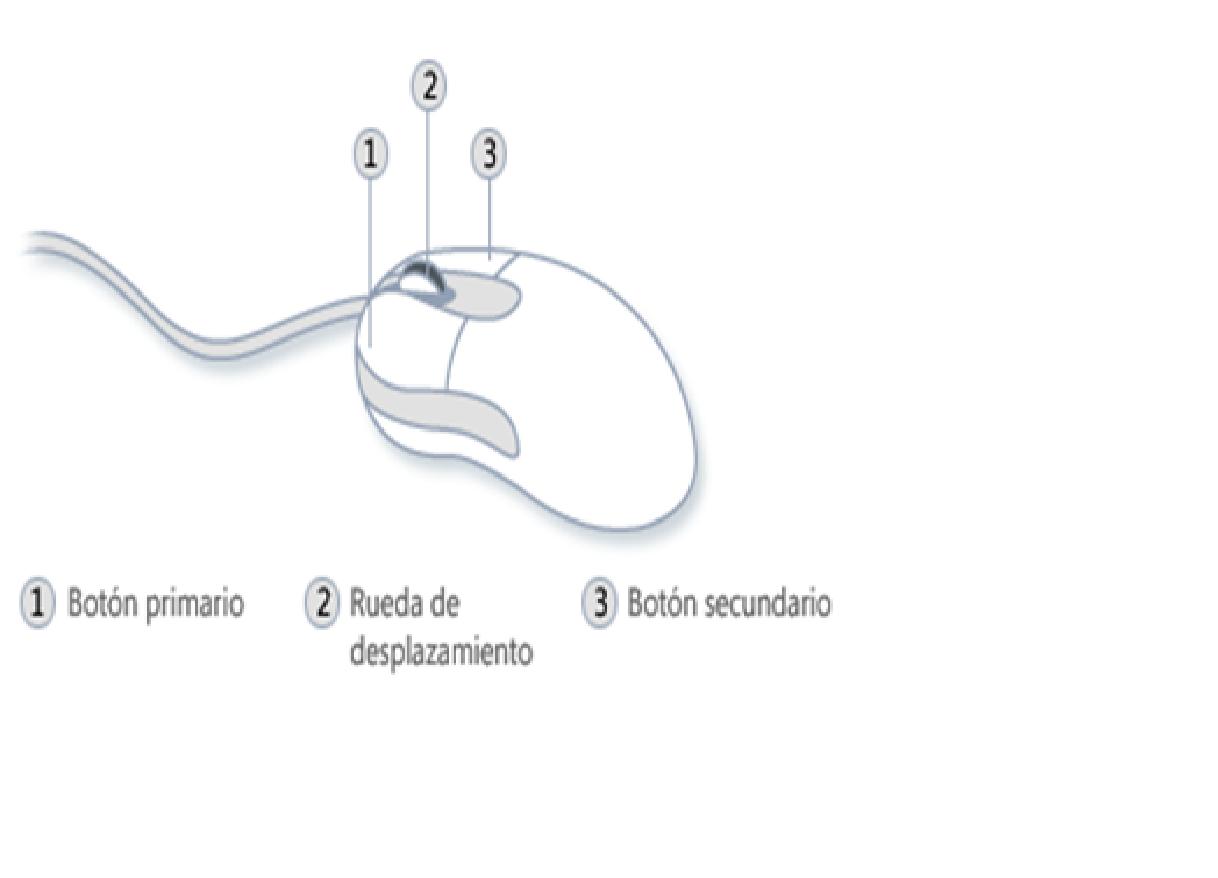 CONTACT CENTER: Manual del Mouse