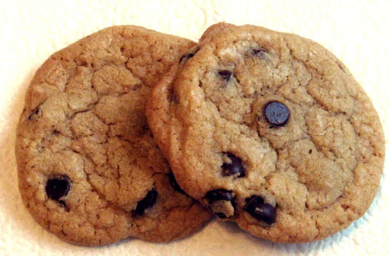Chewy Chocolate Chip Cookies | Fresh from the...