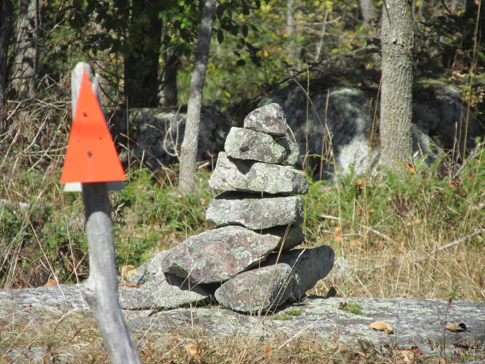 The Passionate Hiker: The Rideau Trail: Narrows Lock Road (08C) to ...
