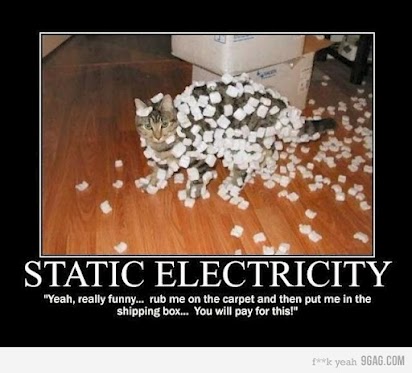 Funny and Crazy pictures, Images,Gifs, Jokes: crazy funny pictures 40