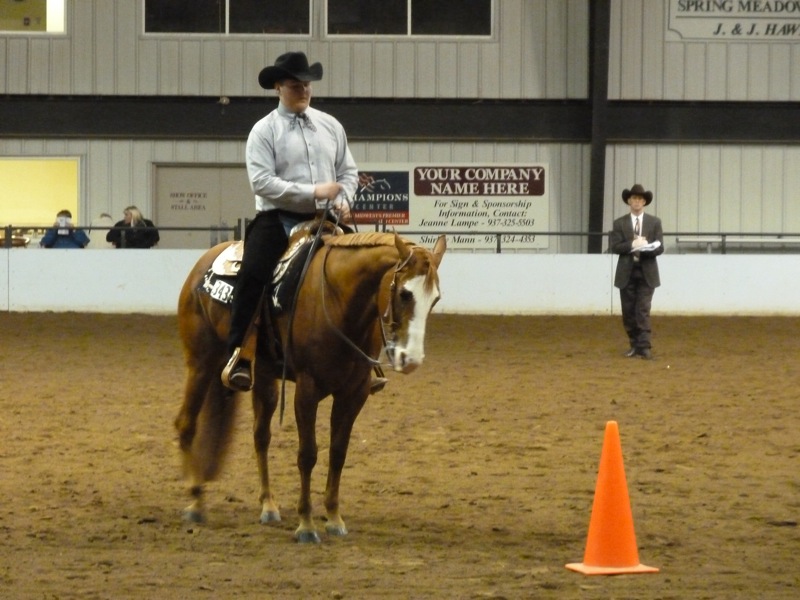 Sonshine Saddlery: Western Horsemanship