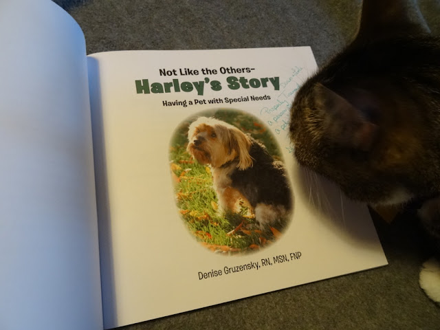 Not Like the Others, Harley's Story, Having a Pet with Special Needs ...