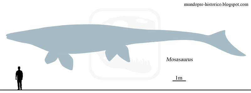 Dinossauros: Mosassauro