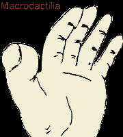 SIGNOS Y SÍNTOMAS EN LA NECESIDAD DE DESCANSO Y SUEÑO