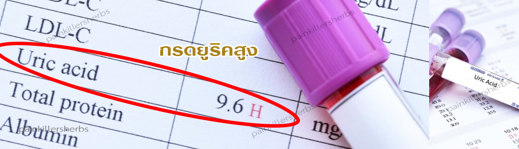 โรคเก๊าท์ Gout Symptom