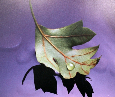 When Hello Means Goodbye: Our Story (3)-Silence in the Delivery Room