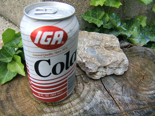 Review the World: Gross Expired Soda Taste Testing