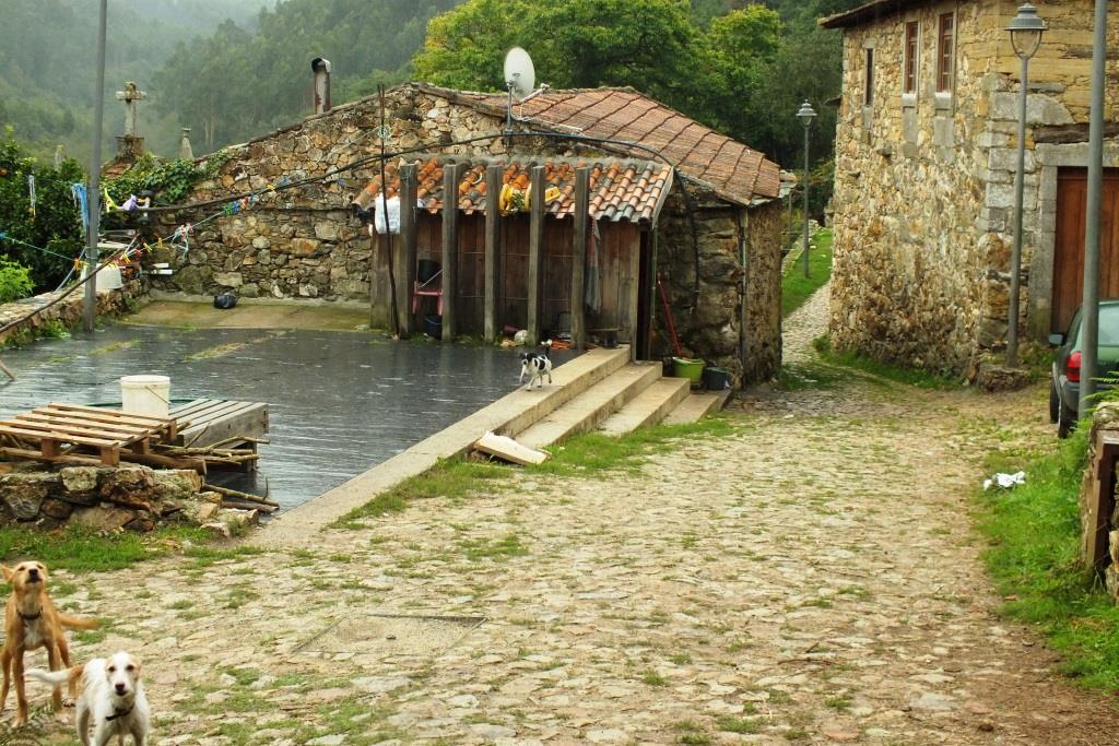 Pisatrilhos: Trilho Aldeia de Couce - Valongo