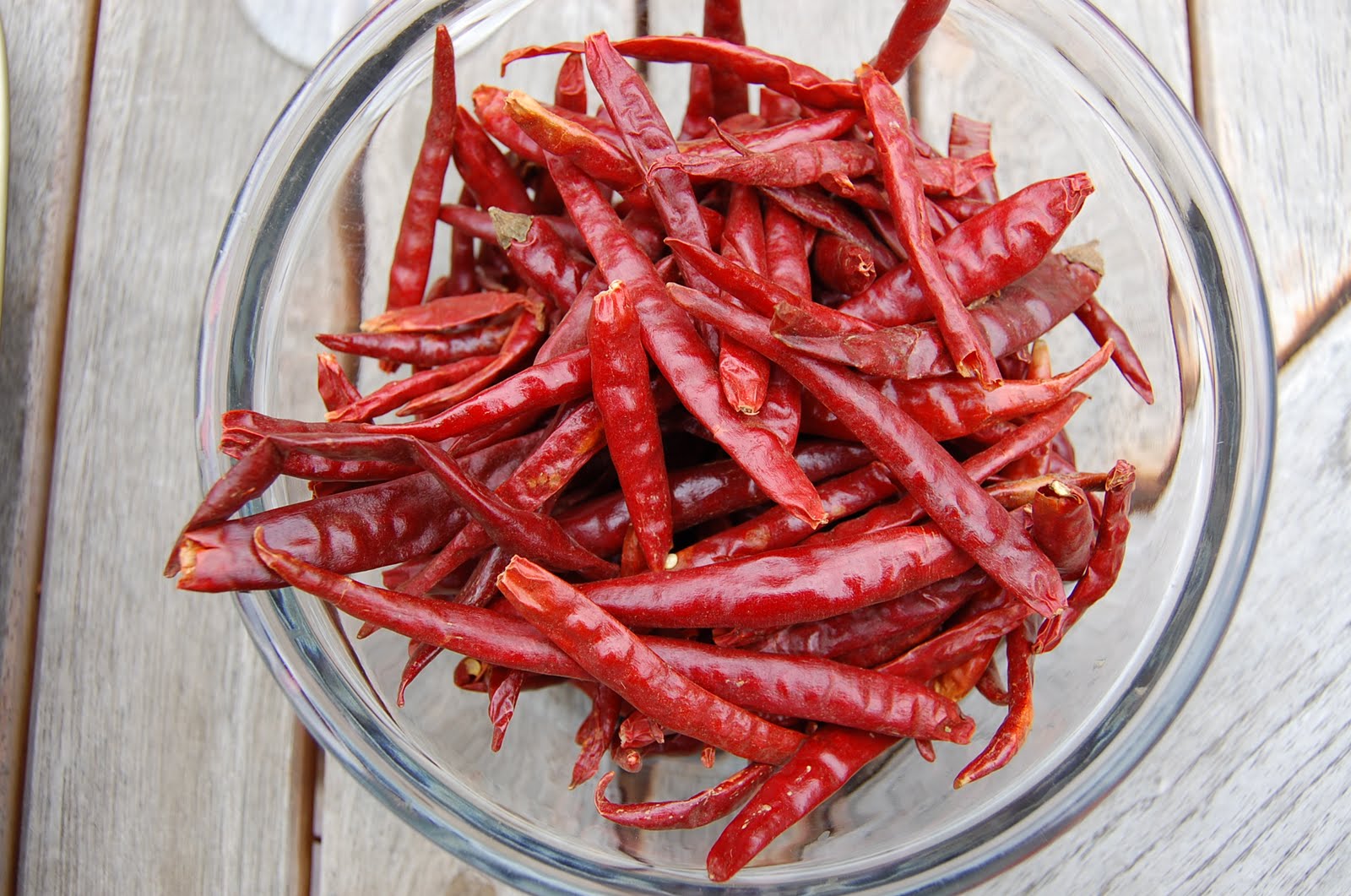 the velocity: Tabasco sauce - chile de arbol hot sauce the velocity: Tabasco sauce - chile de arbol hot sauce