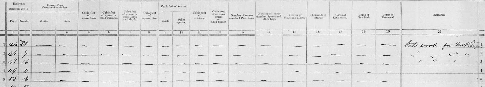Family Tree Knots: 1871 Census of Canada and the Other Schedules