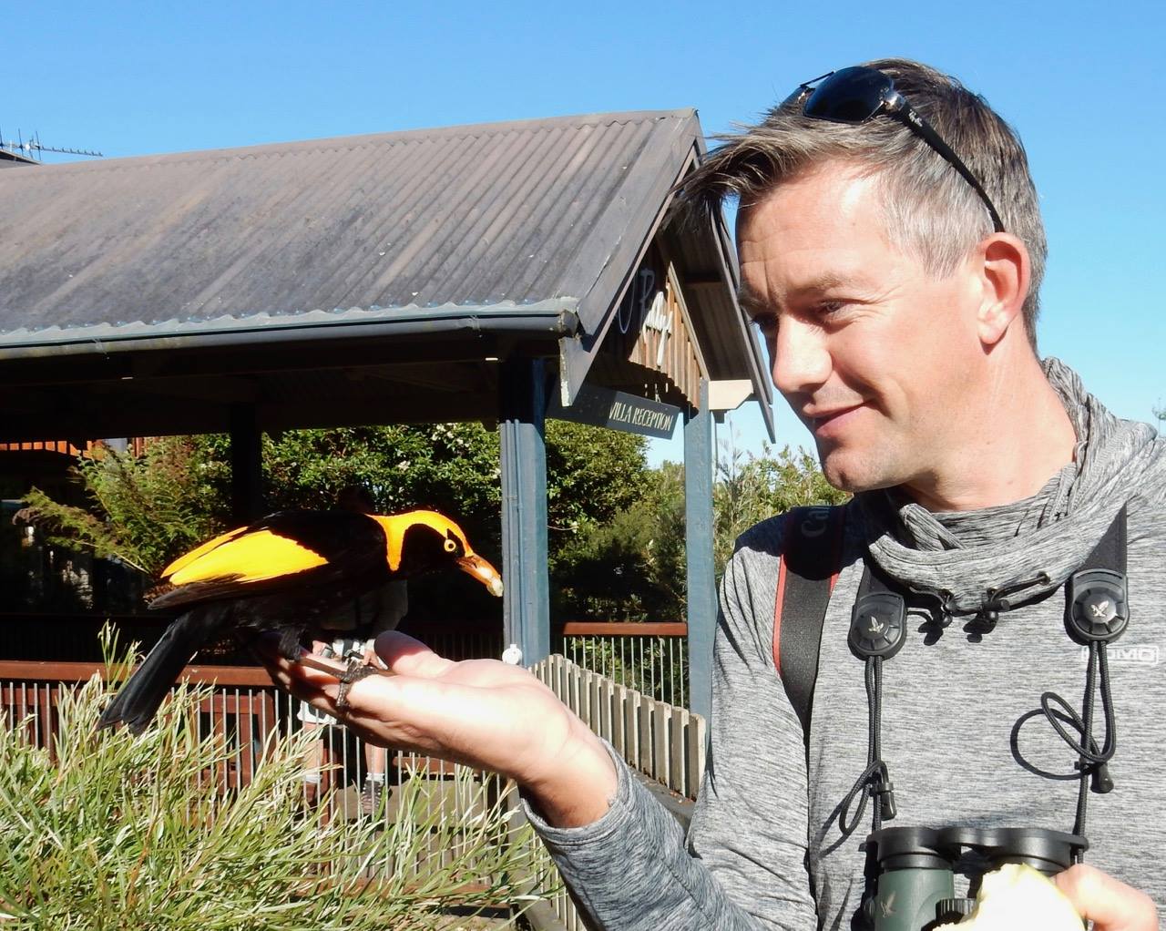 We Bird North Wales: In search of the World's Ultimate Wildlife : Dan ...