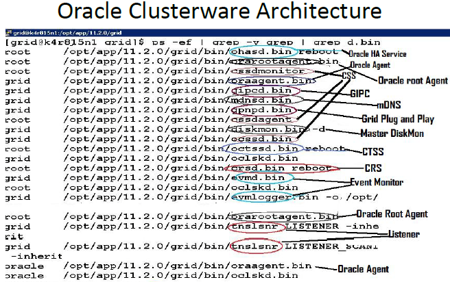 oracleops-support: RAC Architecture, Background Processes, AWM and Admin Tools