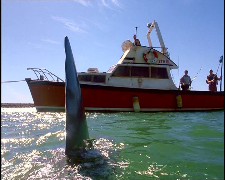 STRAIGHT-TO-DVD-HEAVEN: SHARK ATTACK 2 (2000)