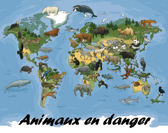 Animaux en danger: l'Oryx d'Arabie