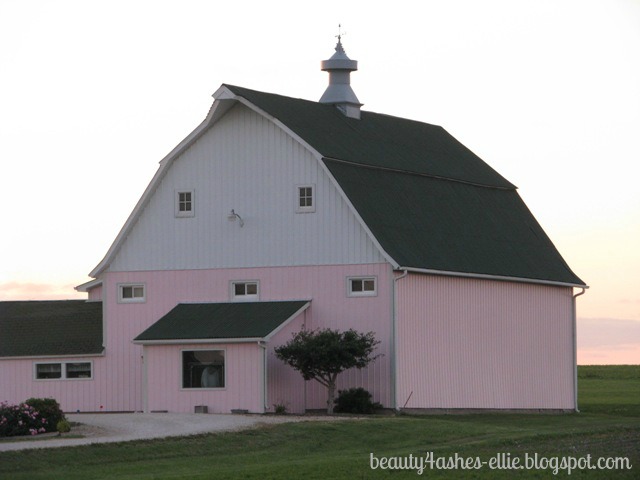 Beauty 4 Ashes: Barns of Benton County: Pink Bridal Barn