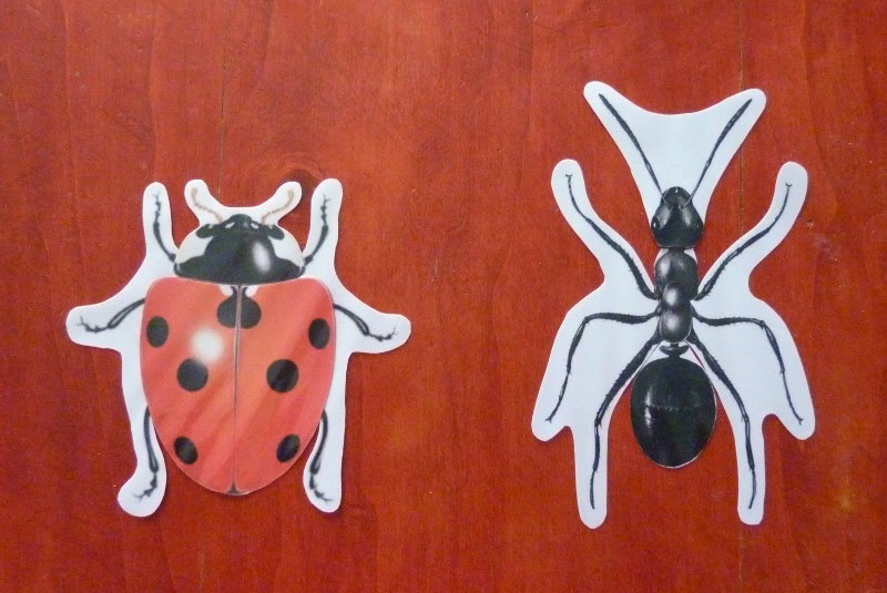 Crapouillotage: Puzzle Insectes