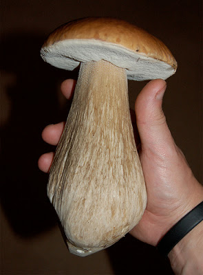 Behind the French Menu: The Cèpe - The French Porcini Mushroom. The ...