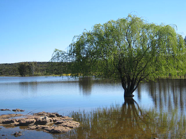 D&M made with love: Old world charm in the Karoo