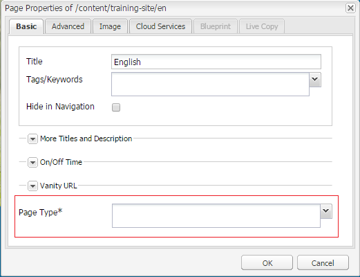 How To Include Custom Meta Tag Headers From Aem Tags Aem Tutorials For Beginners