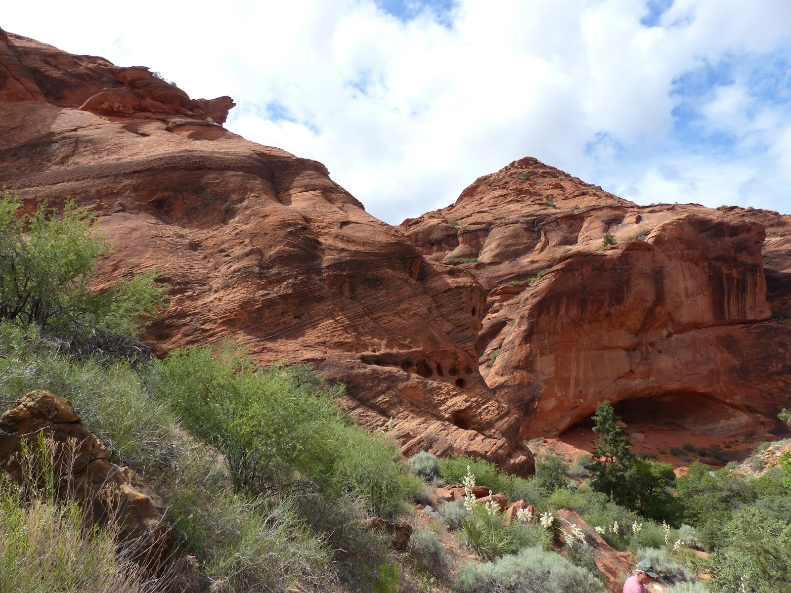 Land Cruising Adventure: Red Cliffs Natural Conservation Area, Utah