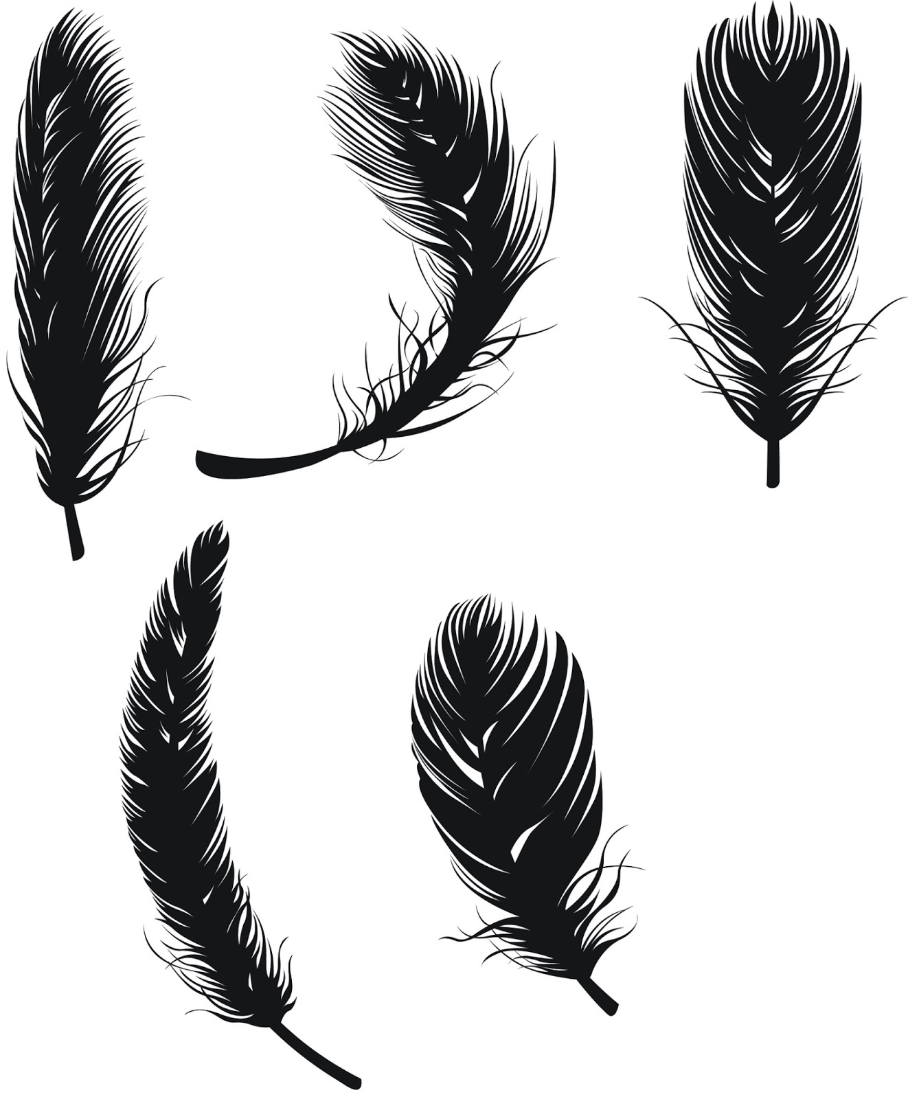 Editor audiovisuals el templat: siluetas plumas vector