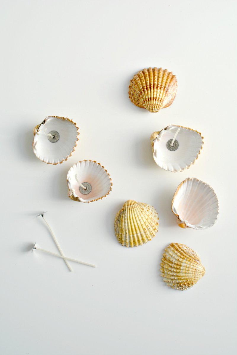 diy | handmade shell candles — Caroline Burke | Burkatron