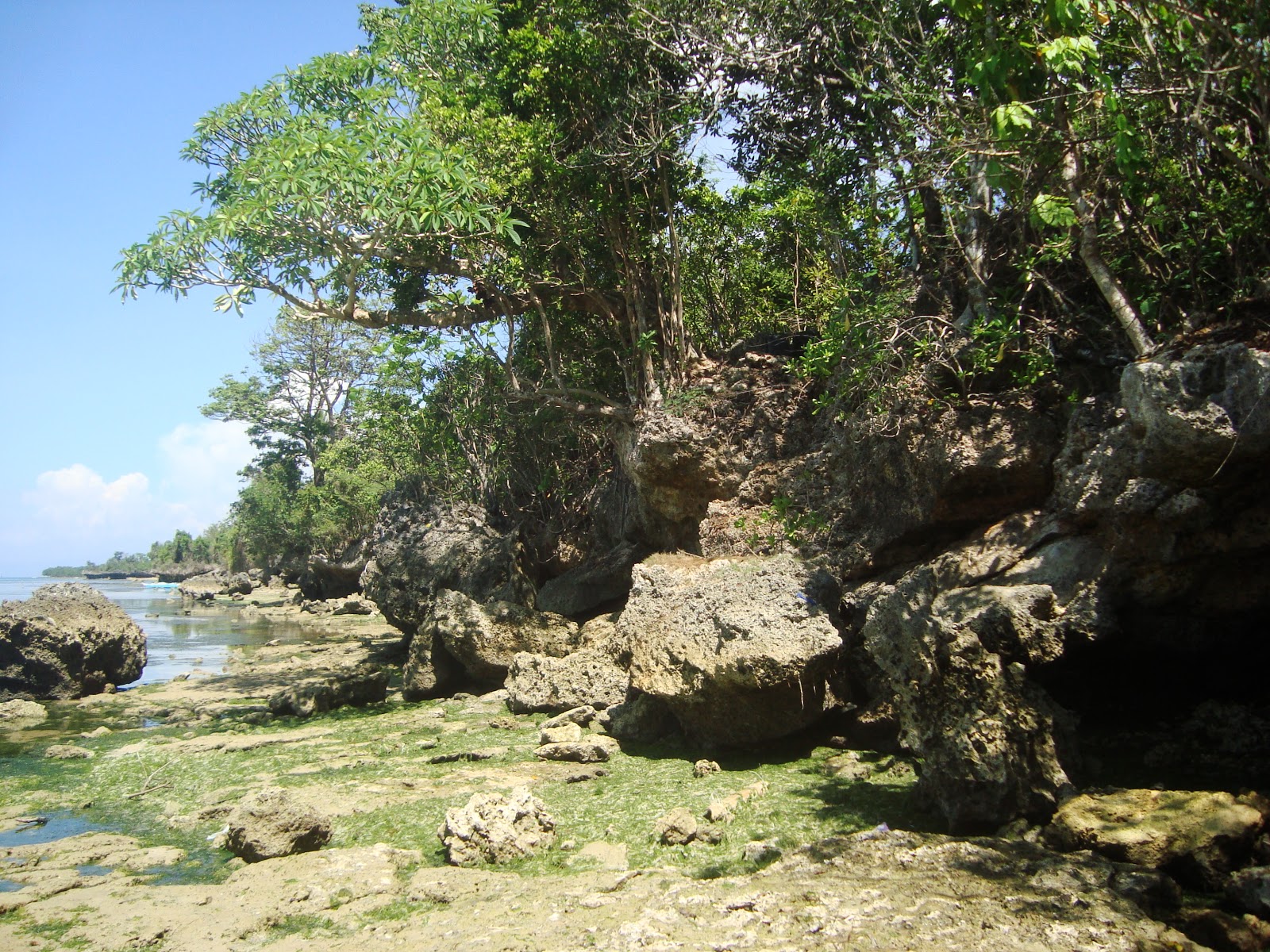 walking distance & et cetera -: Scenery and Nature