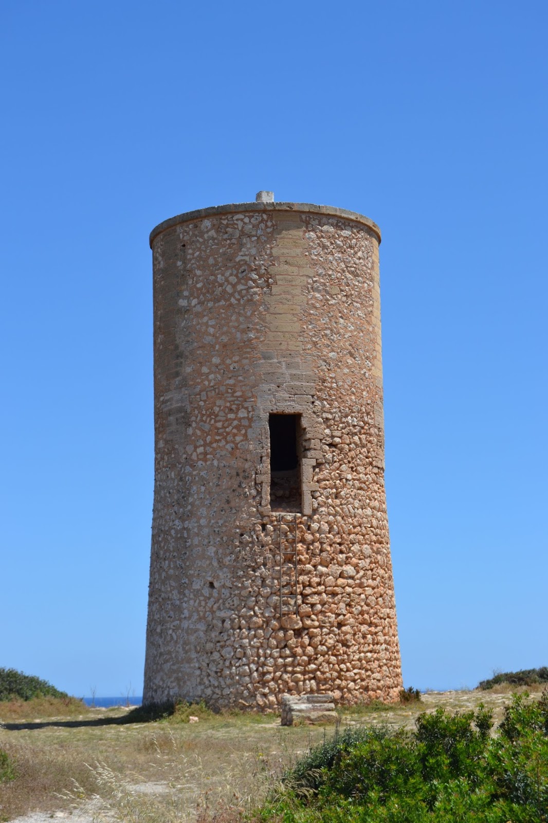 ARCA: ARCA i el GEFB presenten al·legacions al Programa de conservació ...