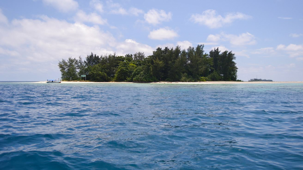 n-journal: Kayu Angin Bira, Surga Bawah Laut di Utara Jakarta