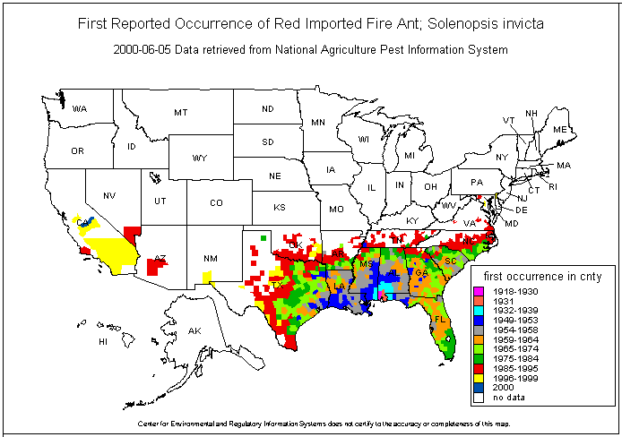Globe Backyard: Fire Ant Invasion