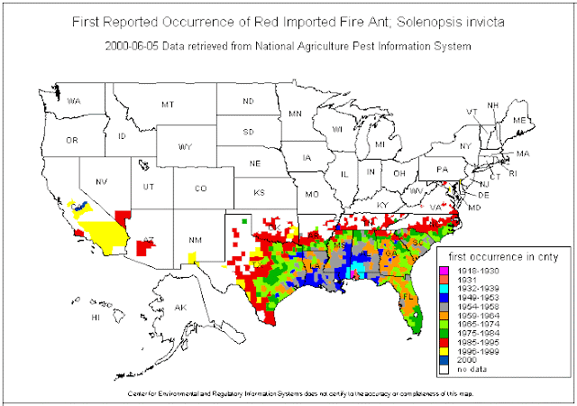 Globe Backyard: Fire Ant Invasion