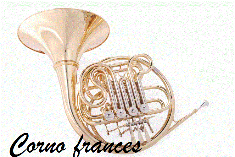 Instrumentos Del Mundo.