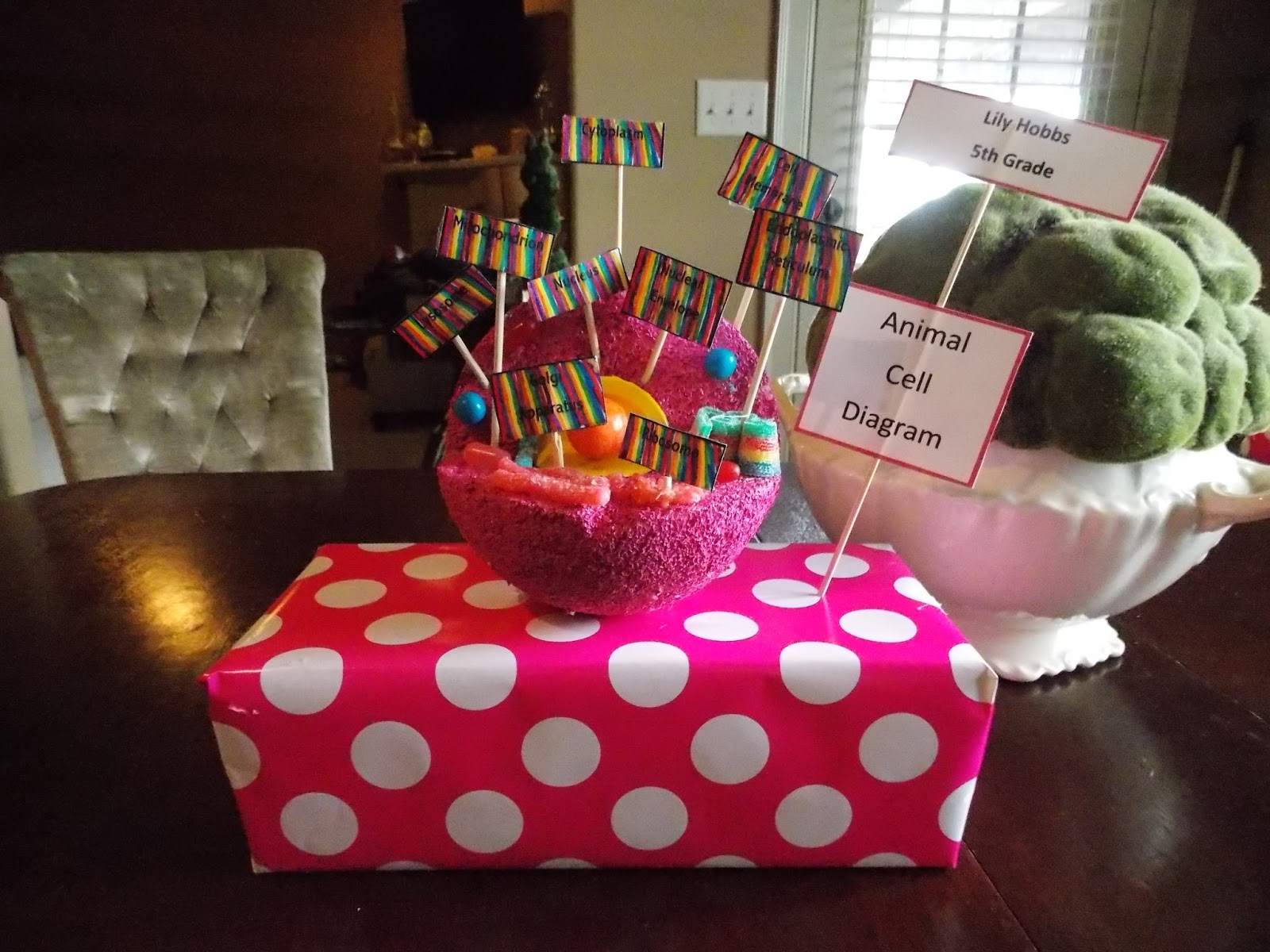 Sweet Family Sweet Life: {Colorful Candy Creation}