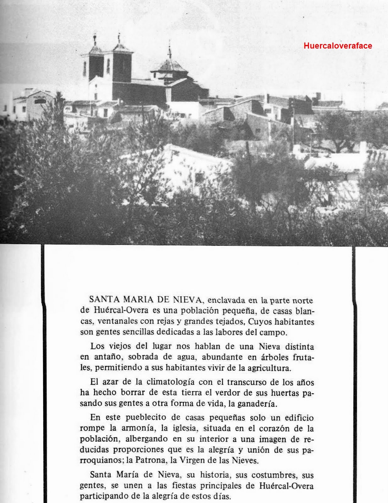 Huércal Overa Face: SANTA MARIA DE NIEVA