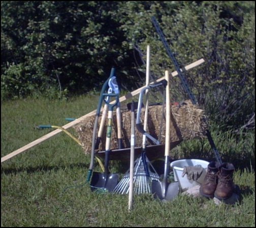 Homesteading in Washington: Homesteading Tools